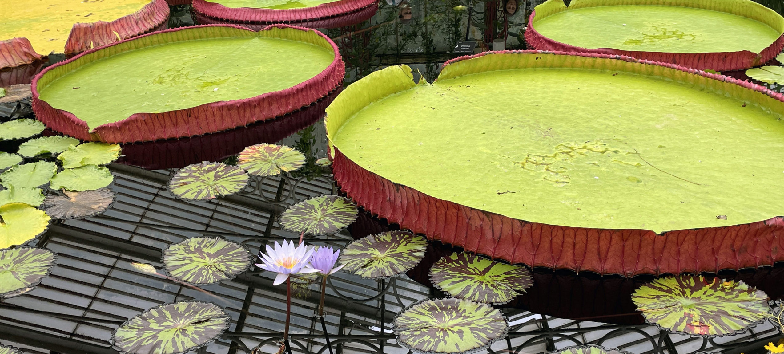 Neural Manipulation - Resilience Bodywork